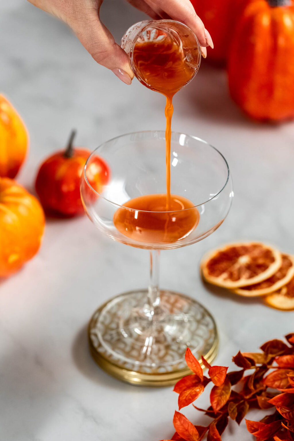 Fall Aperol Spritz Recipe | Libation Chronicles